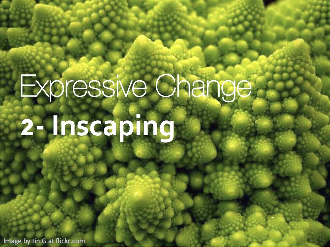 Self-guided learning sessions – new and improved